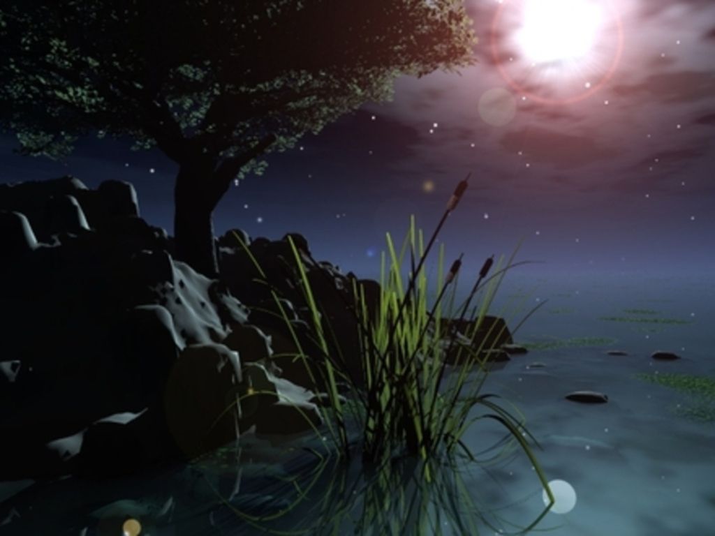 Warm Summer Night Wallpapers - Wallpaper Cave