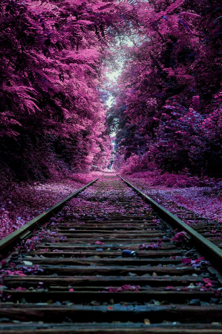 Train Road Wallpapers - Wallpaper Cave