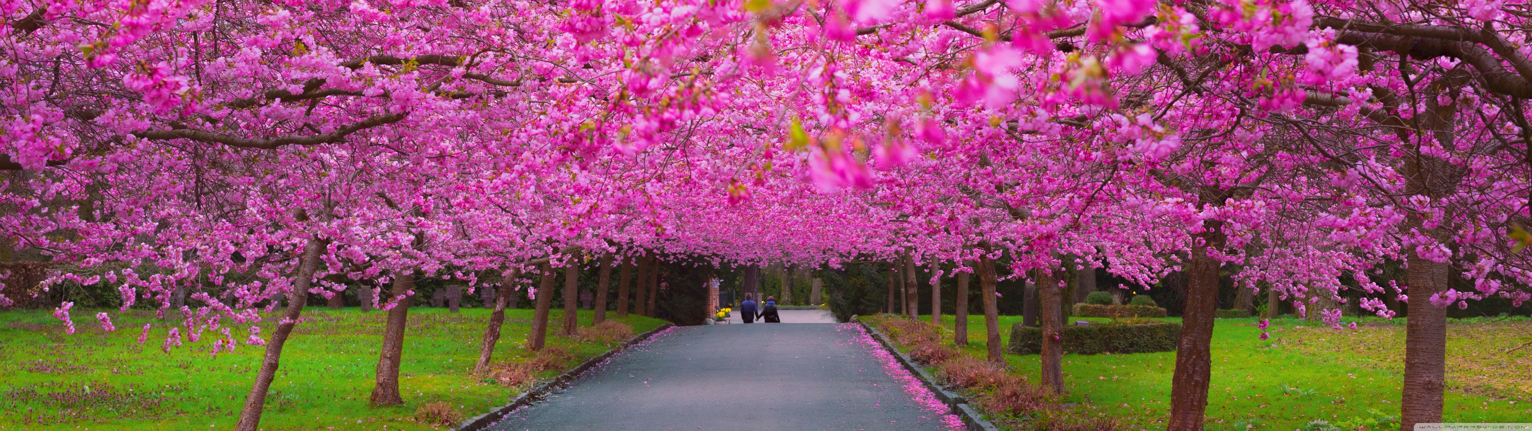 Spring 5120x1440 Wallpapers - Wallpaper Cave