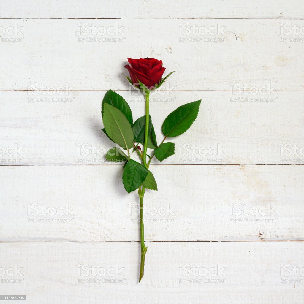 Rustic Rose Wallpapers - Wallpaper Cave