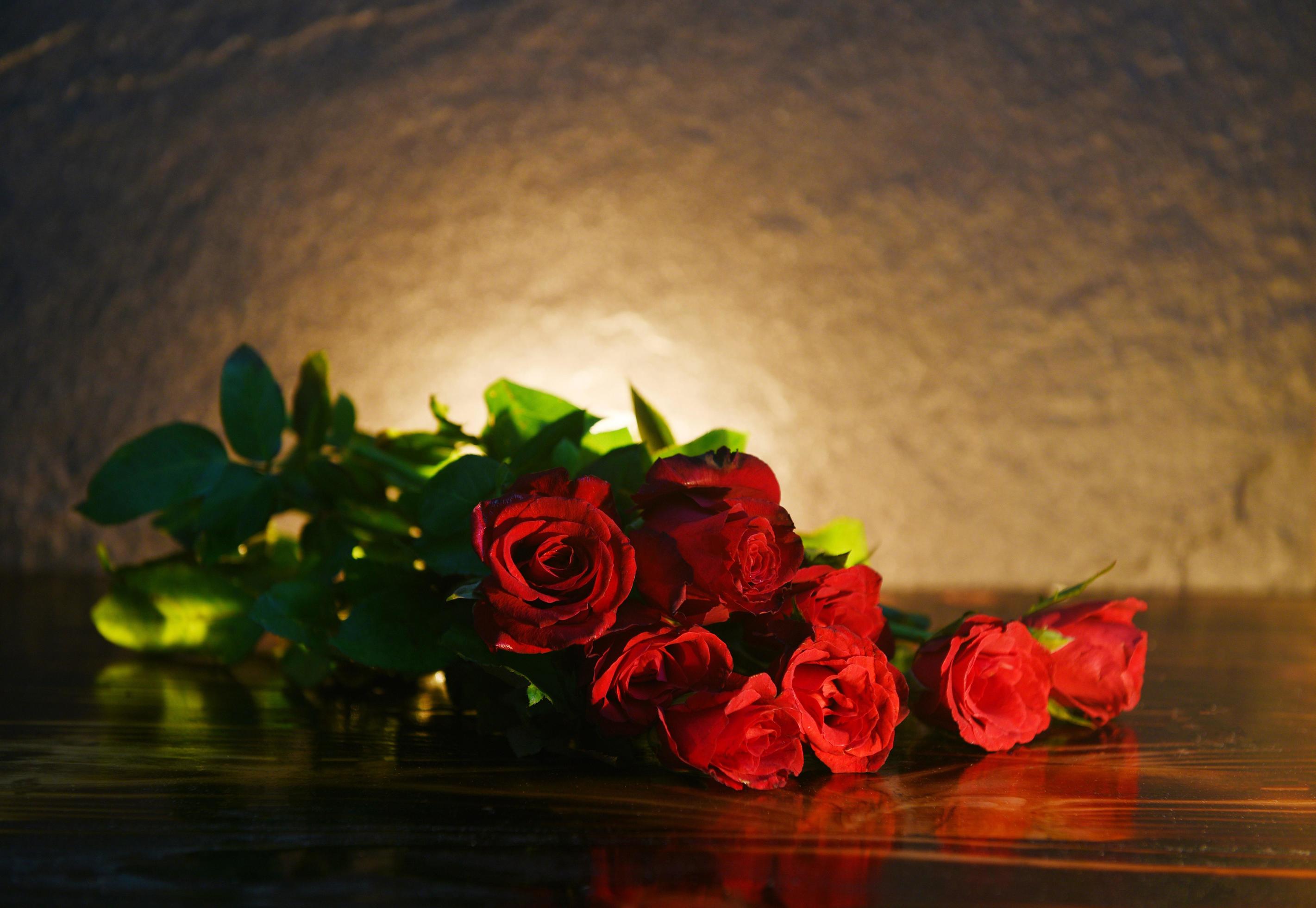 Rustic Rose Wallpapers - Wallpaper Cave