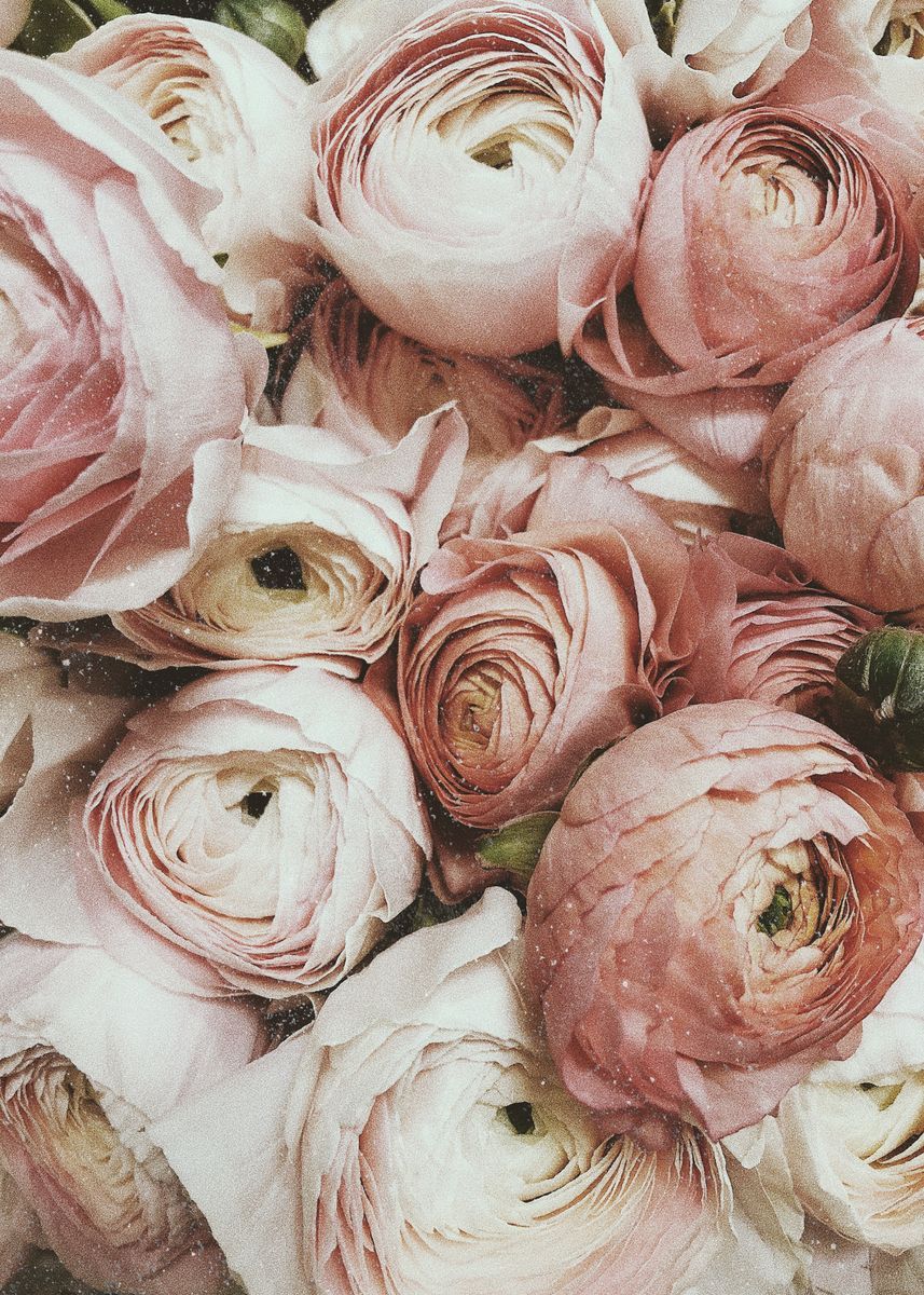 Rustic Rose Wallpapers - Wallpaper Cave