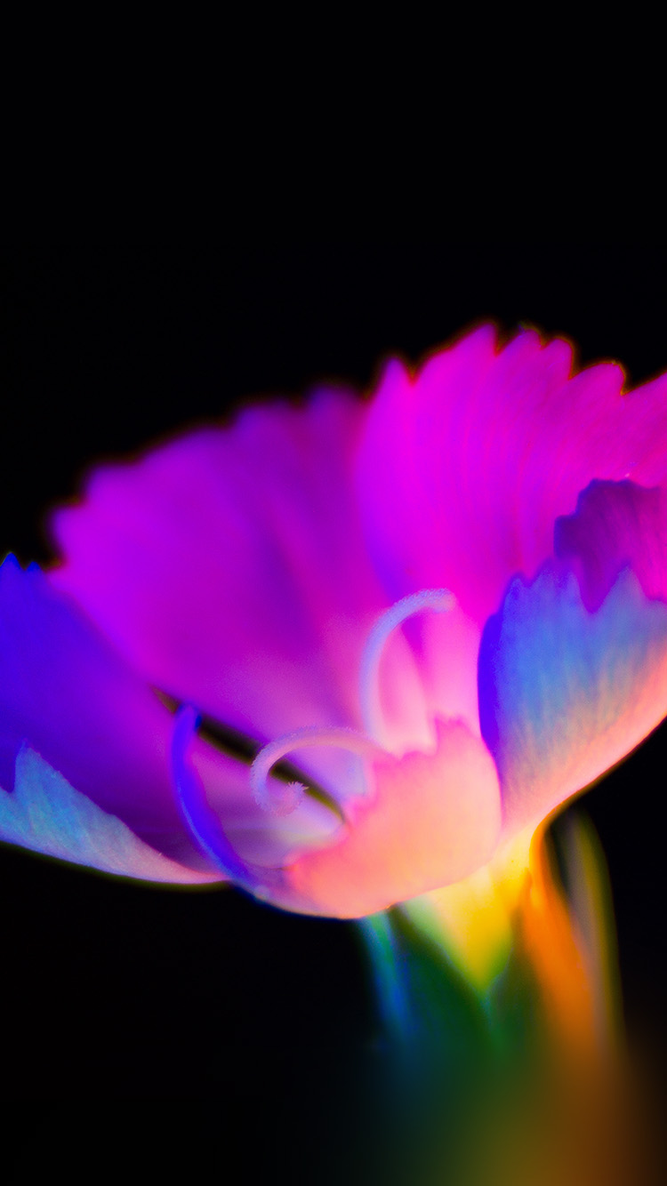 Neon Spring Wallpapers - Wallpaper Cave