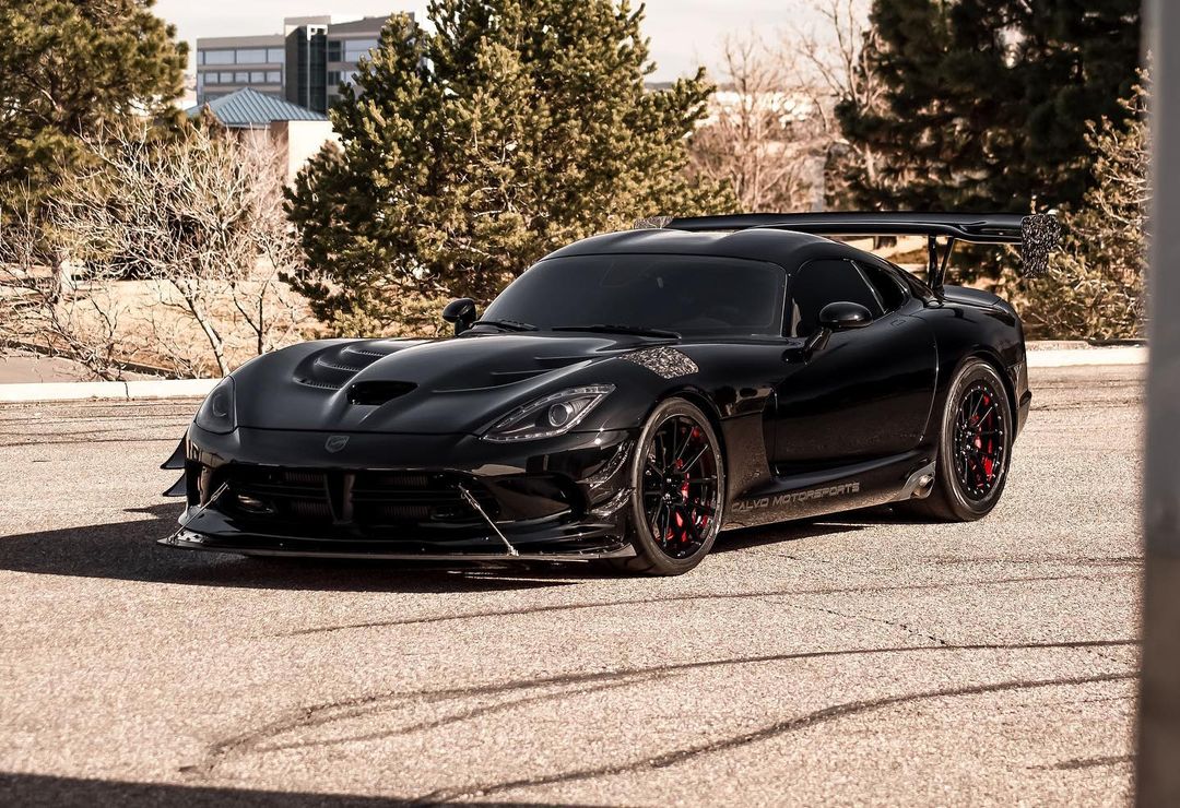 Calvo Viper Wallpapers - Wallpaper Cave