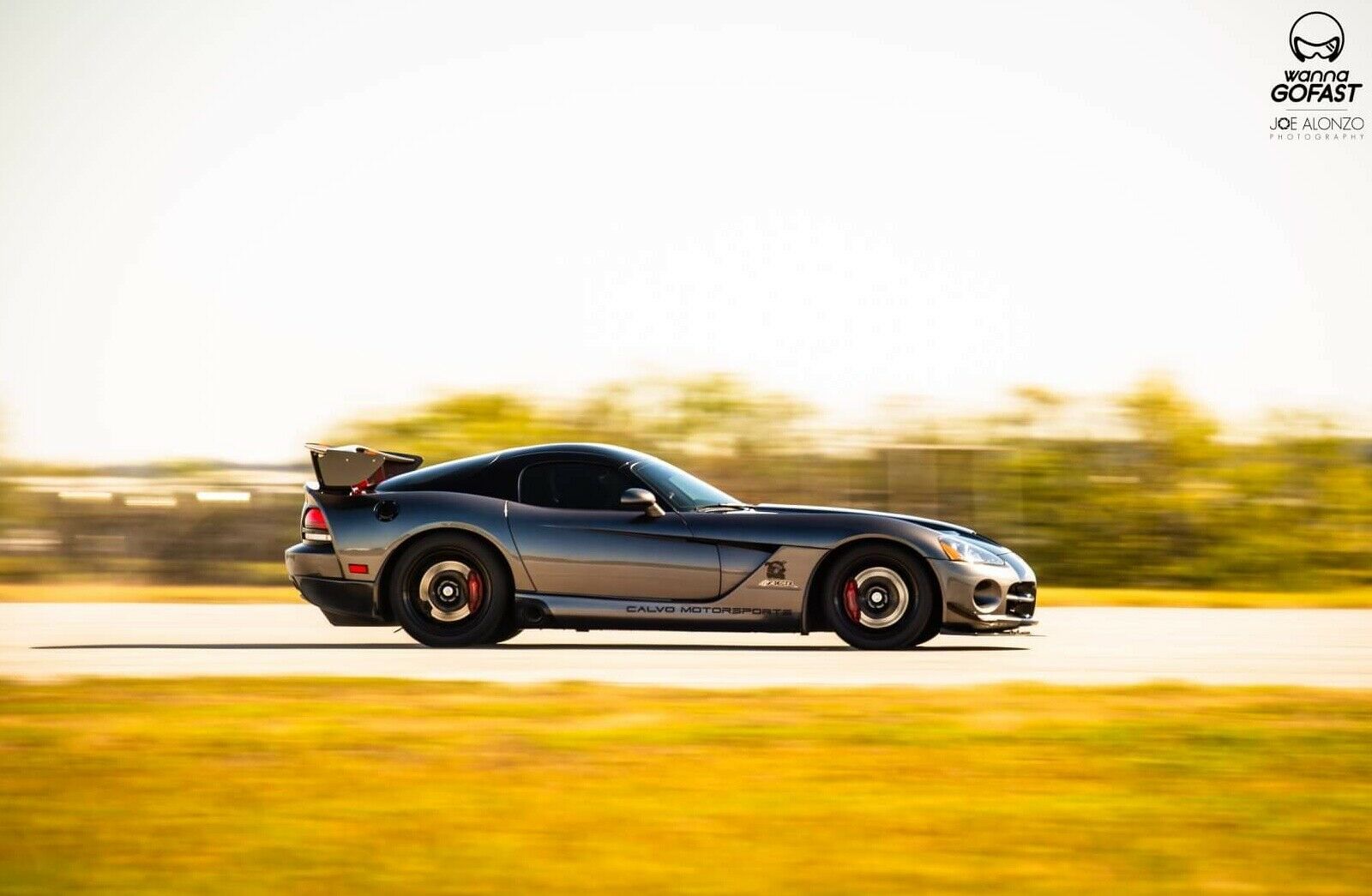 Calvo Viper Wallpapers - Wallpaper Cave