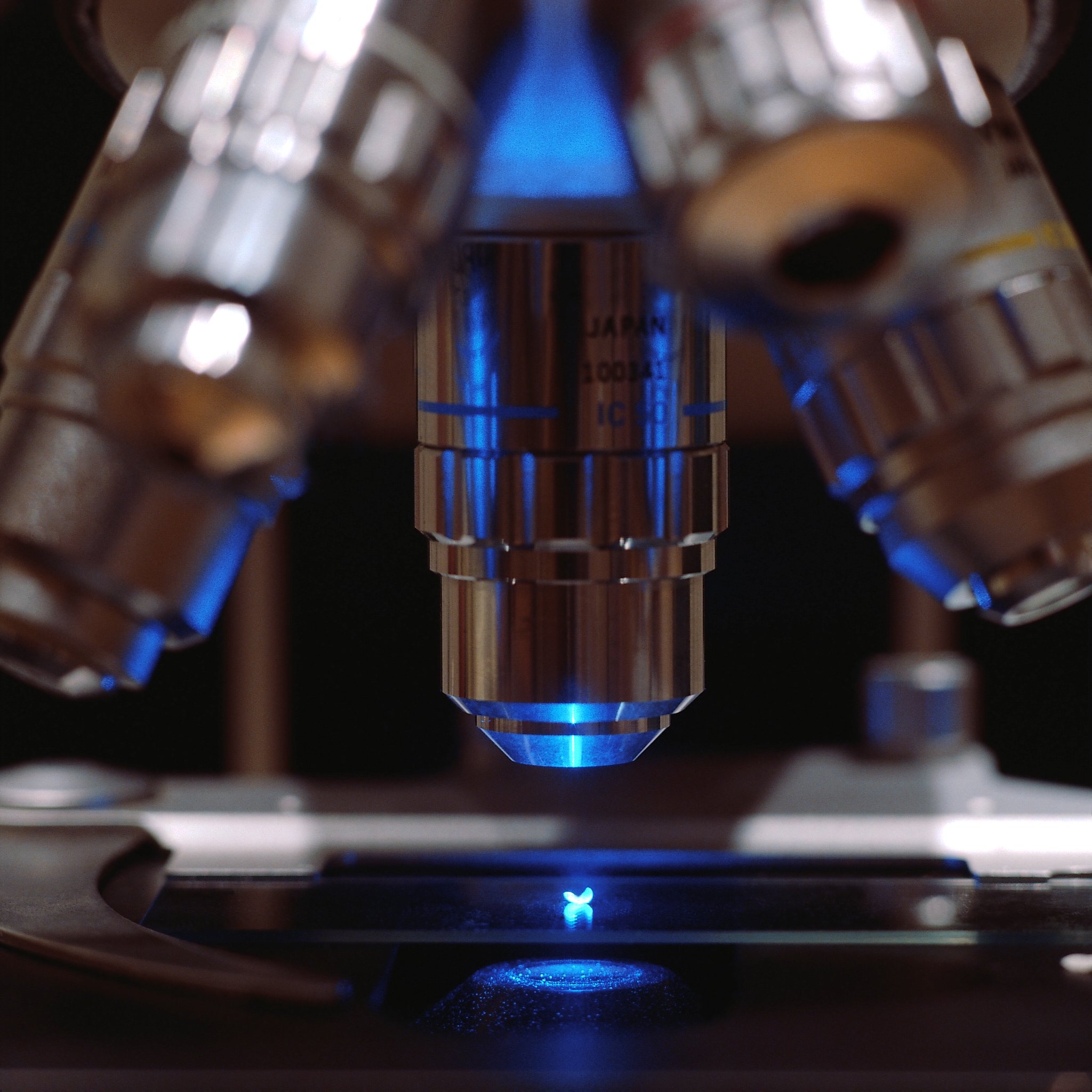 Microscopy Wallpapers - Wallpaper Cave