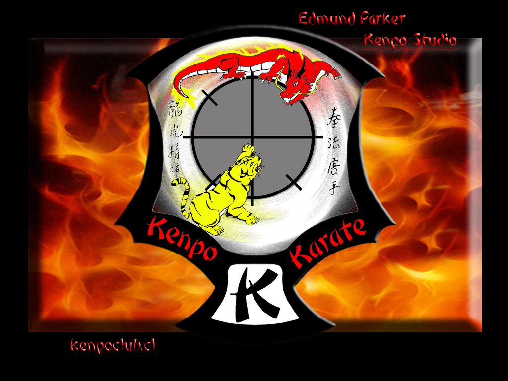 Kenpo Wallpapers - Wallpaper Cave