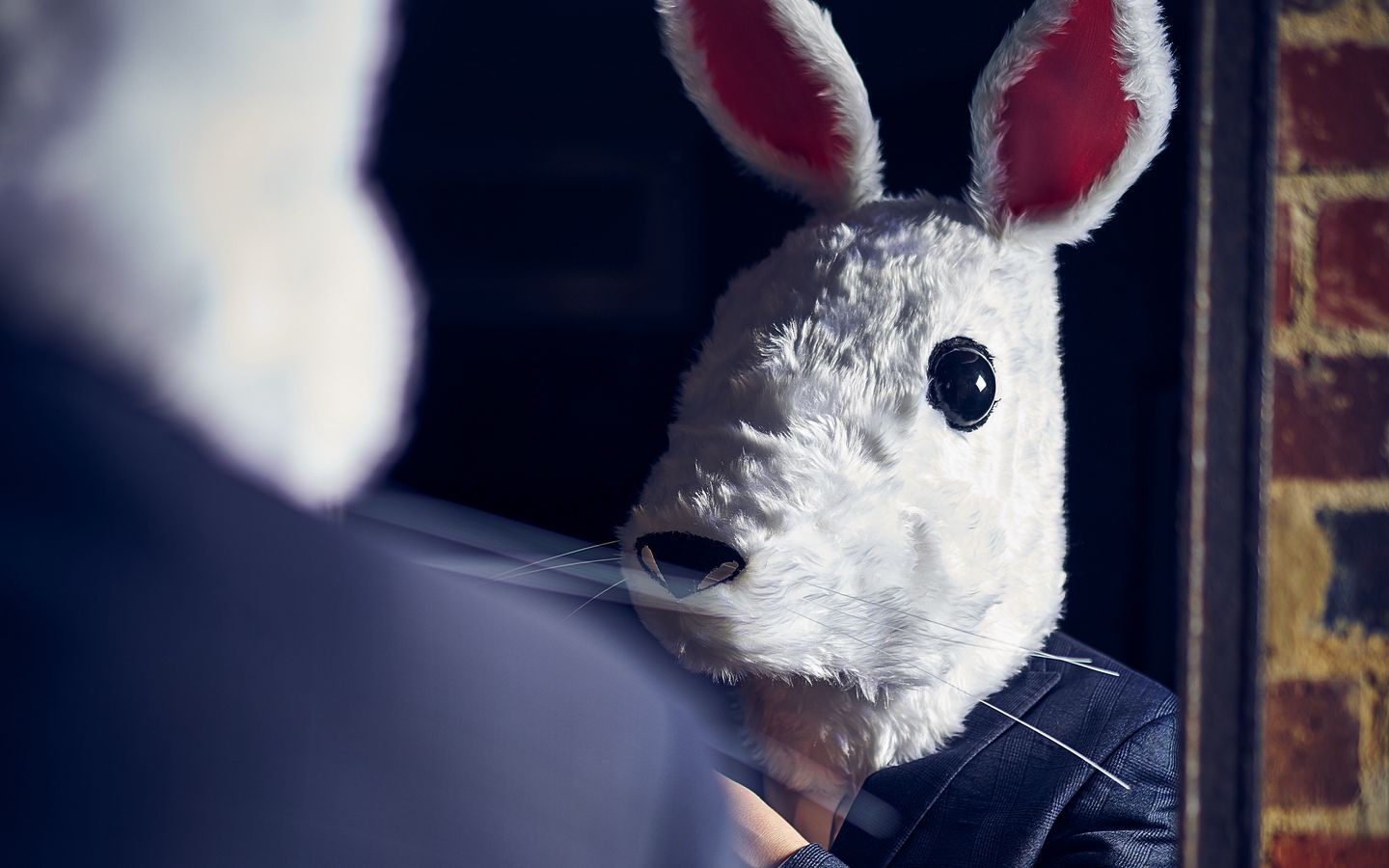 Mask Rabbit Wallpapers - Wallpaper Cave