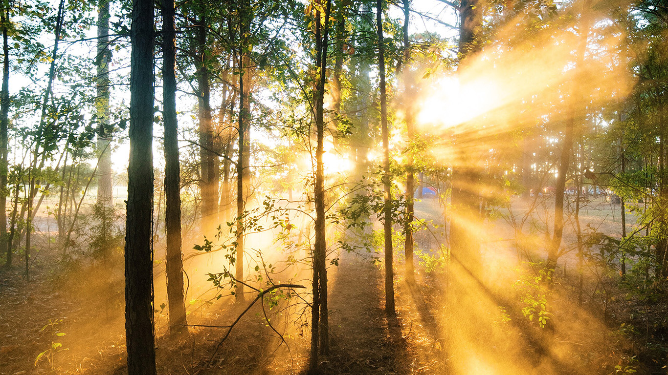 Summer Sun Laptop Wallpapers - Wallpaper Cave