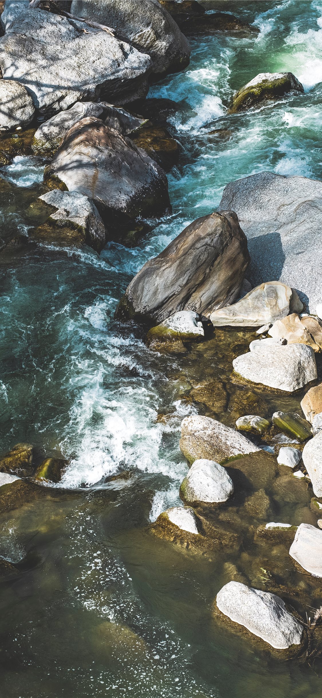 Spring Turtles Wallpapers - Wallpaper Cave