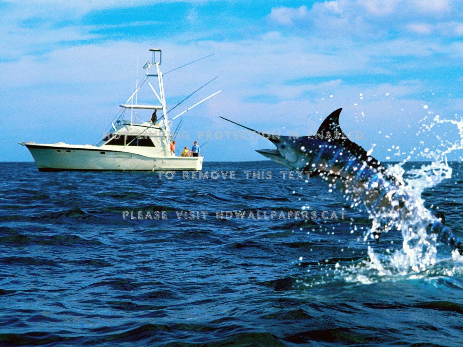 Deep Sea Fishing Wallpapers - Wallpaper Cave