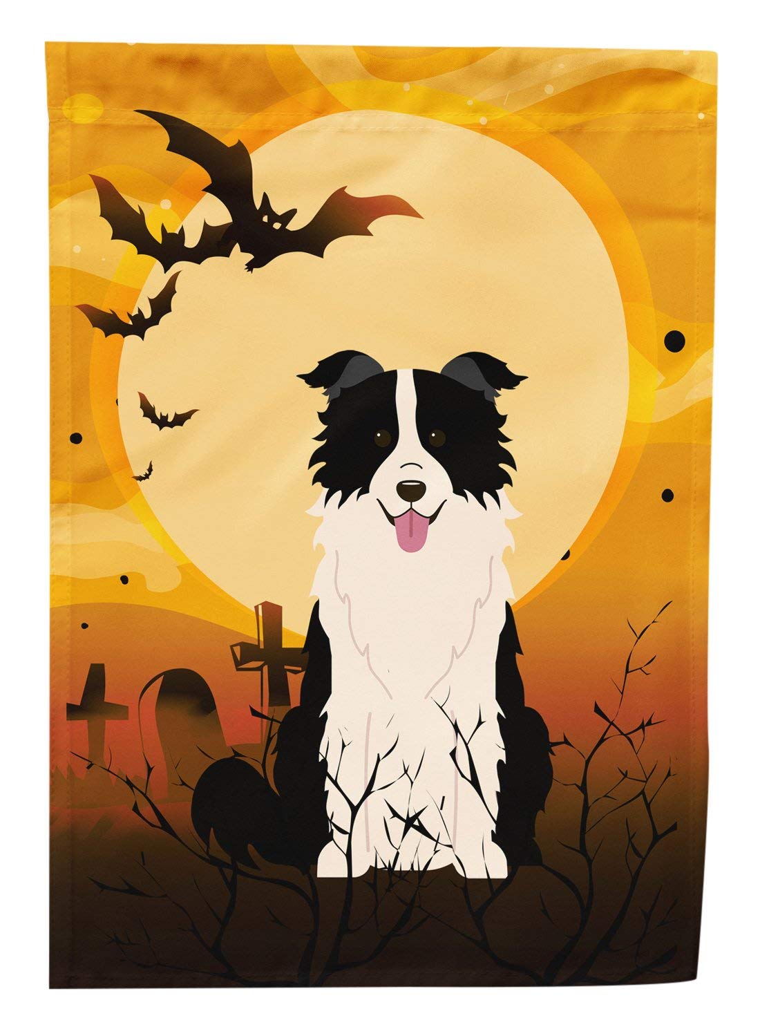 Multicolor Border Collies Wallpapers - Wallpaper Cave