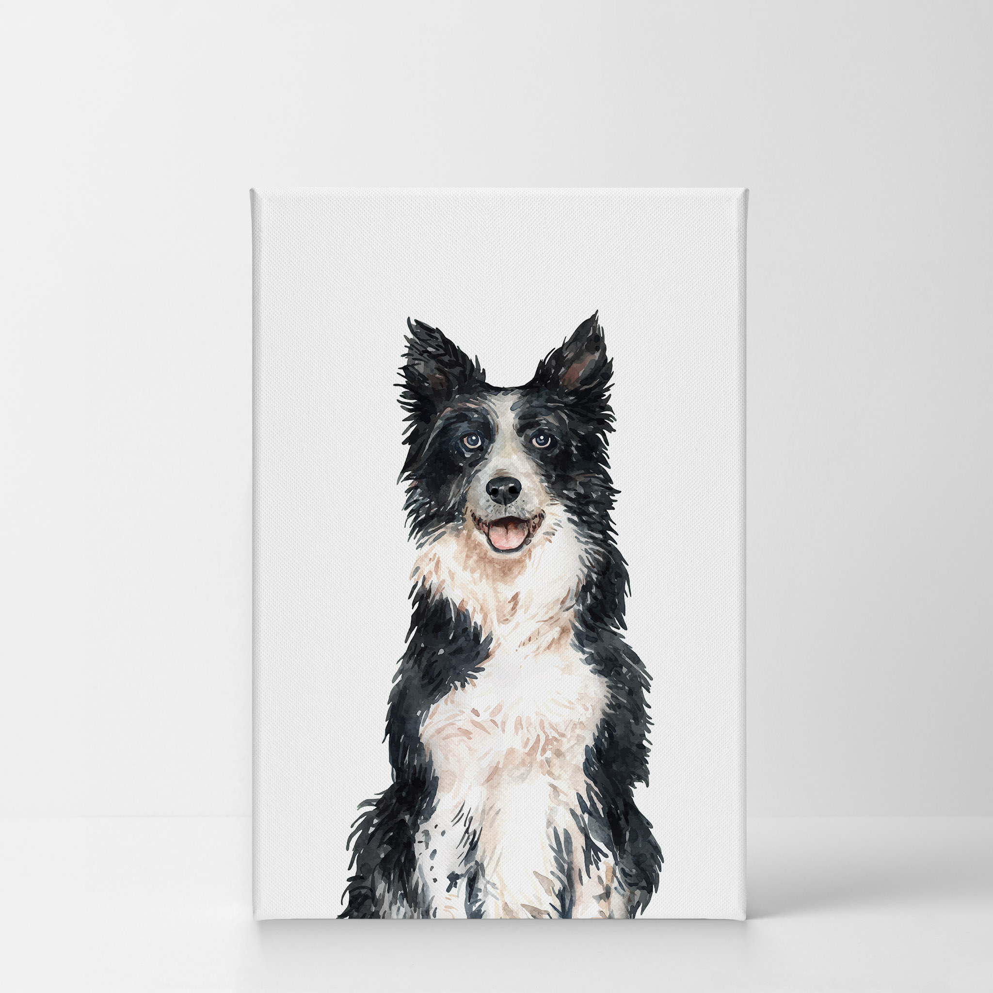 Multicolor Border Collies Wallpapers - Wallpaper Cave