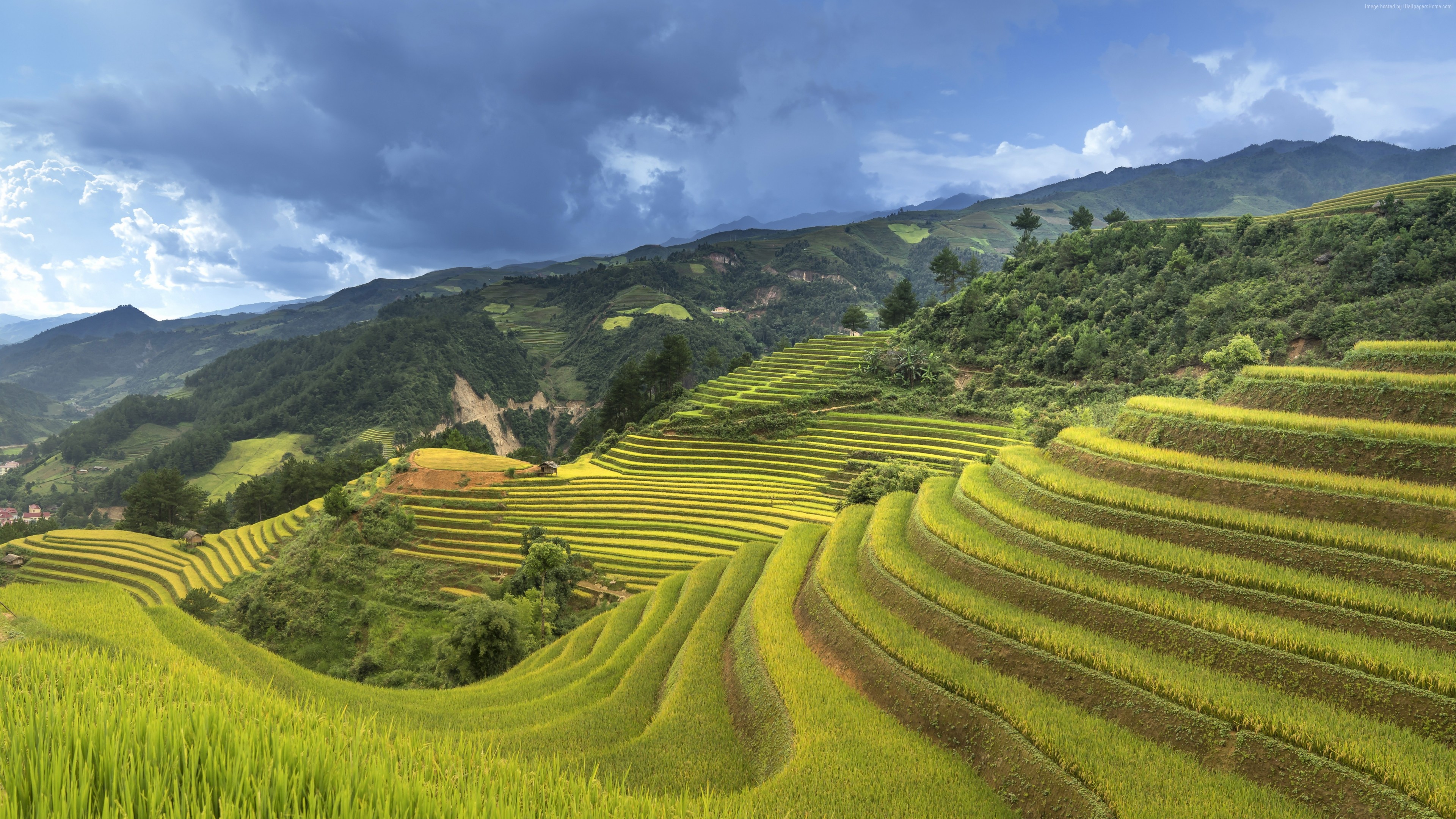 Rice Terraces Wallpapers - Wallpaper Cave
