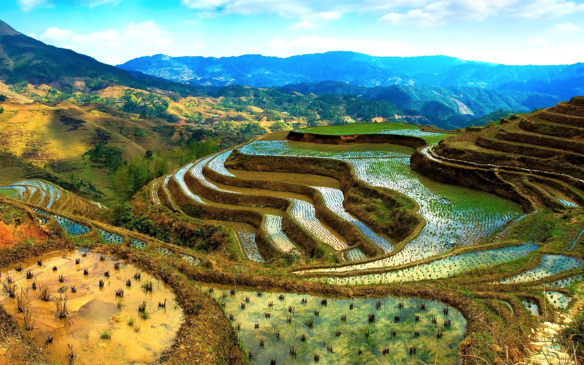 Rice Terraces Wallpapers - Wallpaper Cave