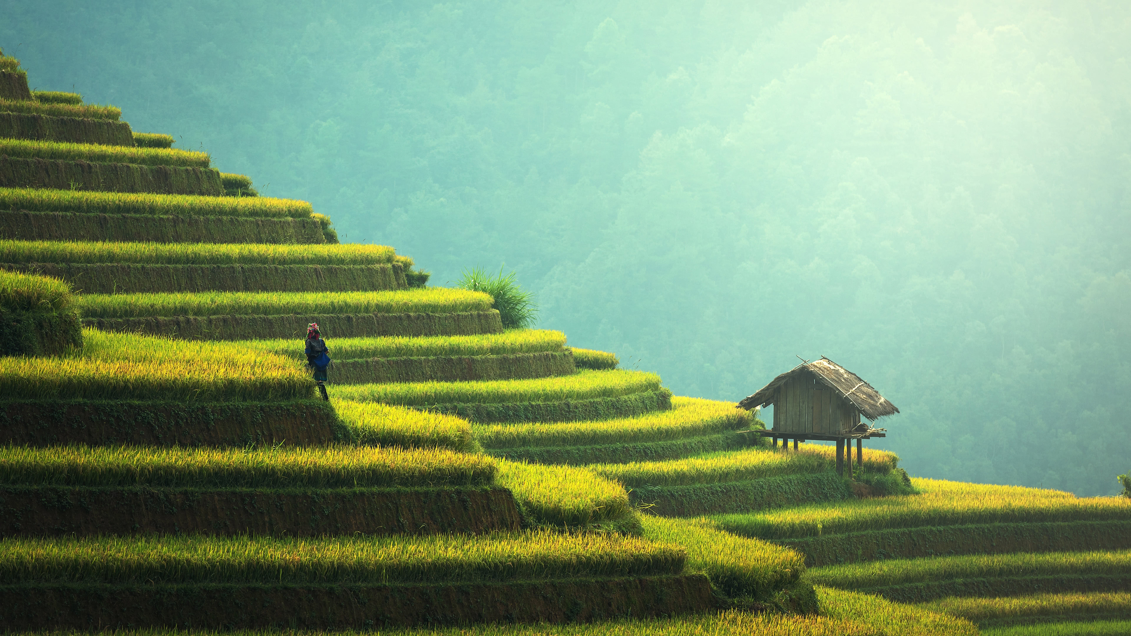 Rice Terraces Wallpapers - Wallpaper Cave