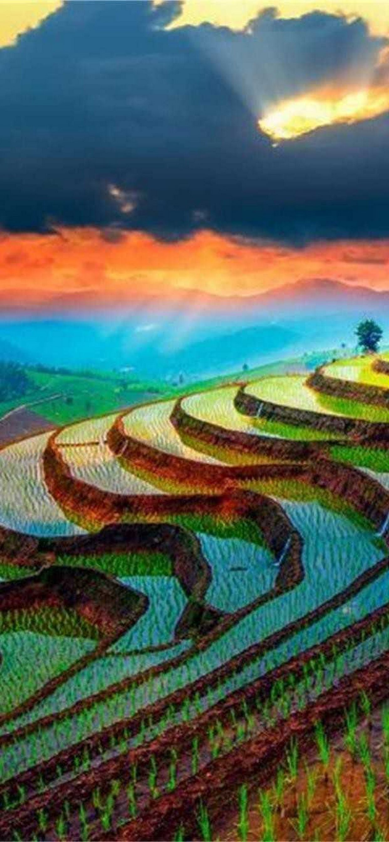Rice Terraces Wallpapers - Wallpaper Cave