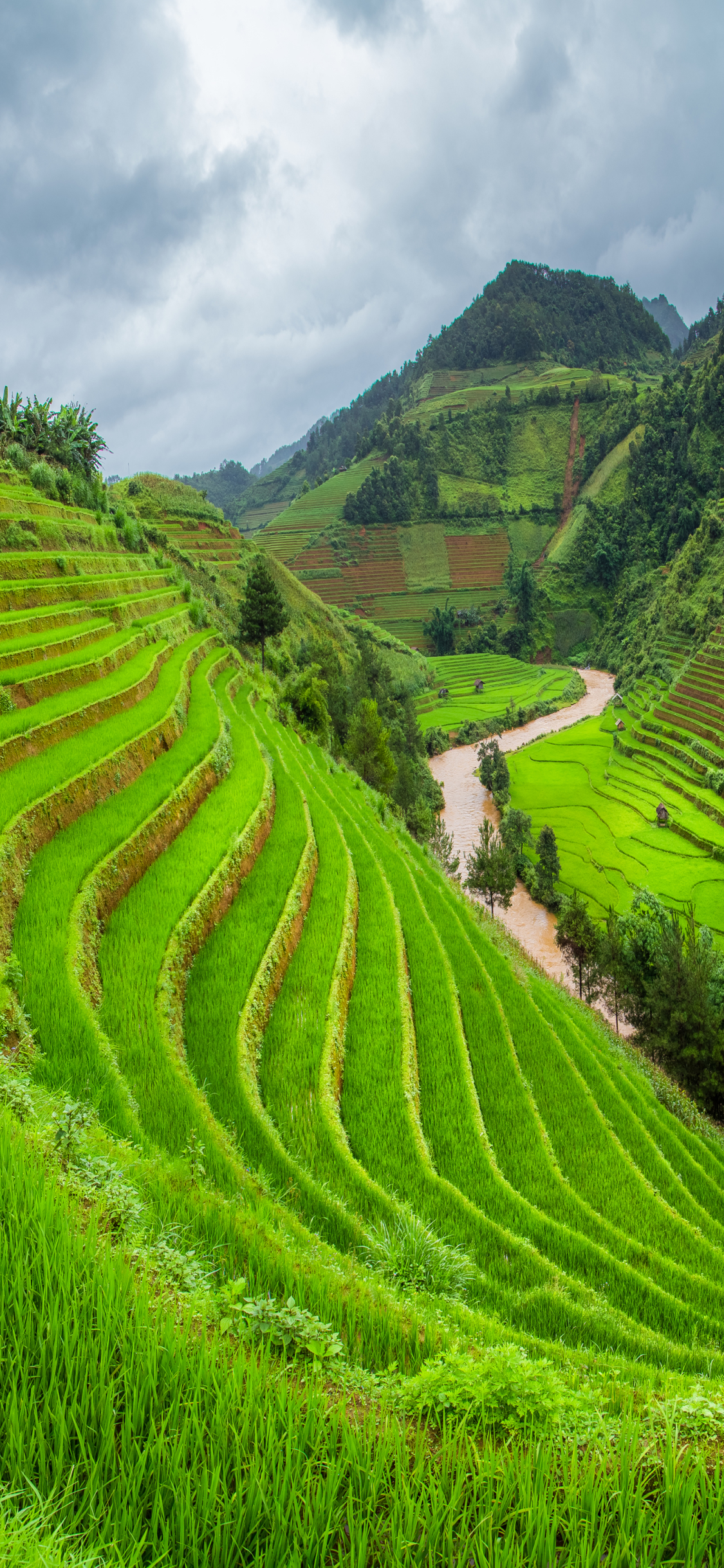 Rice Terraces Wallpapers - Wallpaper Cave