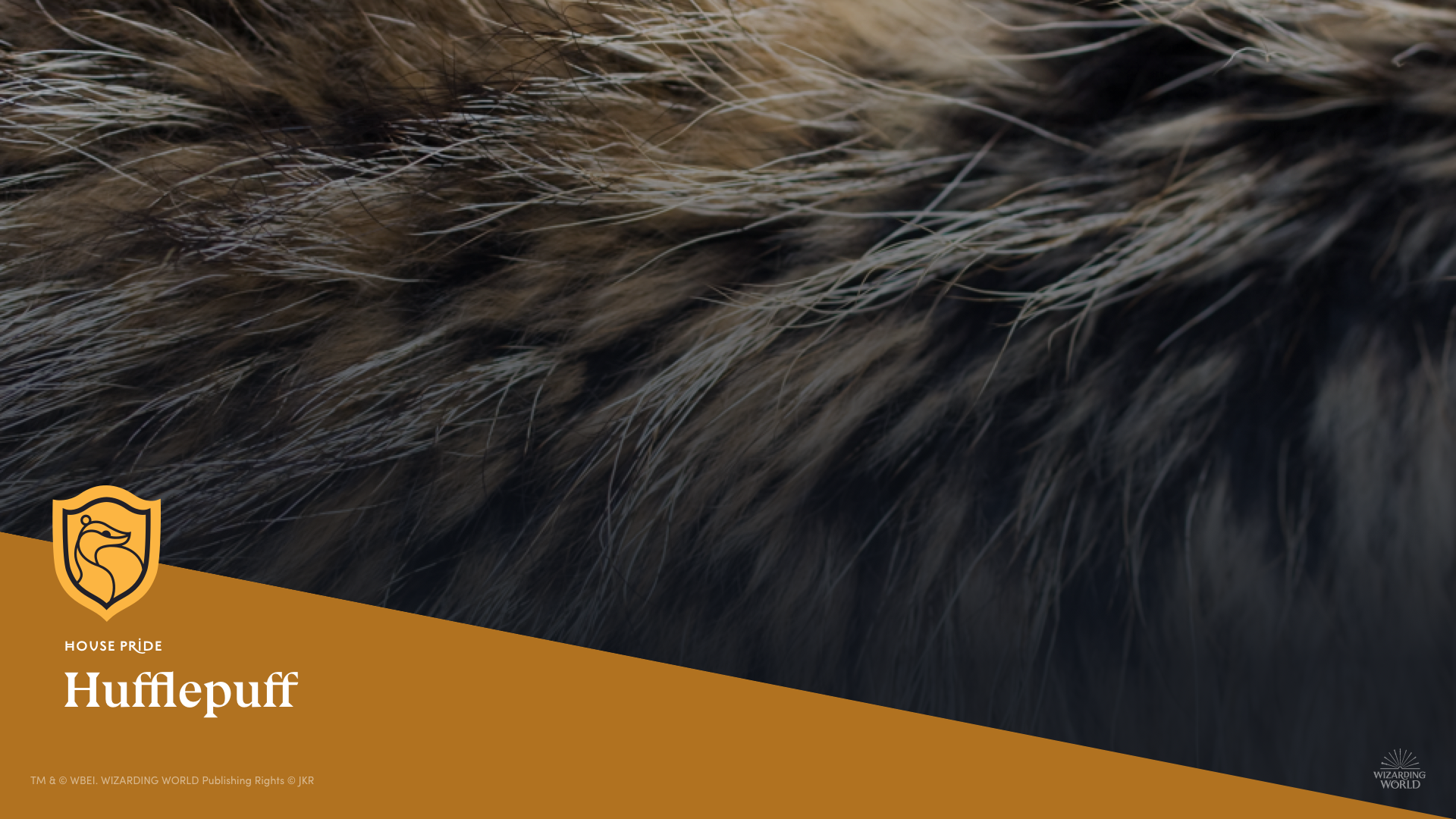 Hufflepuff Laptop Wallpapers - Wallpaper Cave