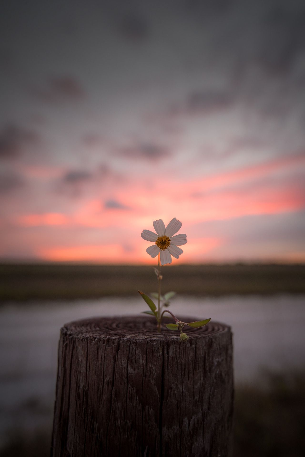 Unnatural Wallpapers - Wallpaper Cave