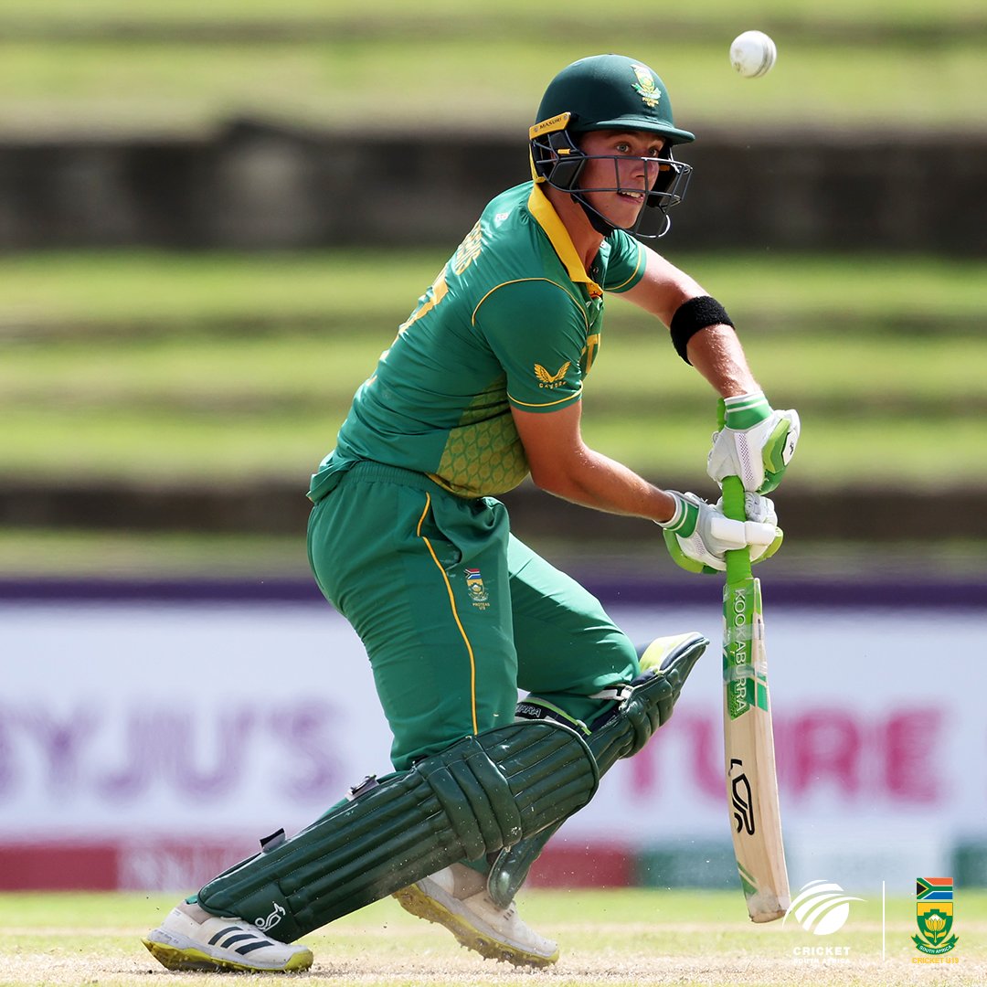 Dewald Brevis Wallpapers - Wallpaper Cave