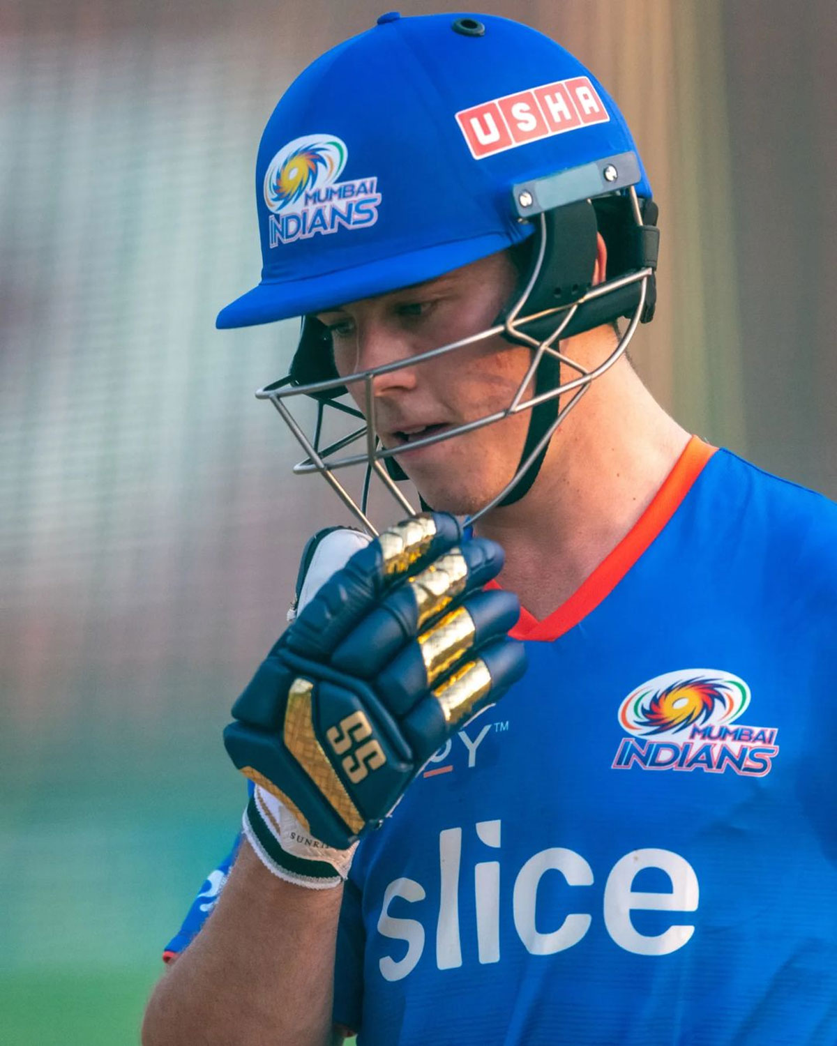 Dewald Brevis Wallpapers - Wallpaper Cave