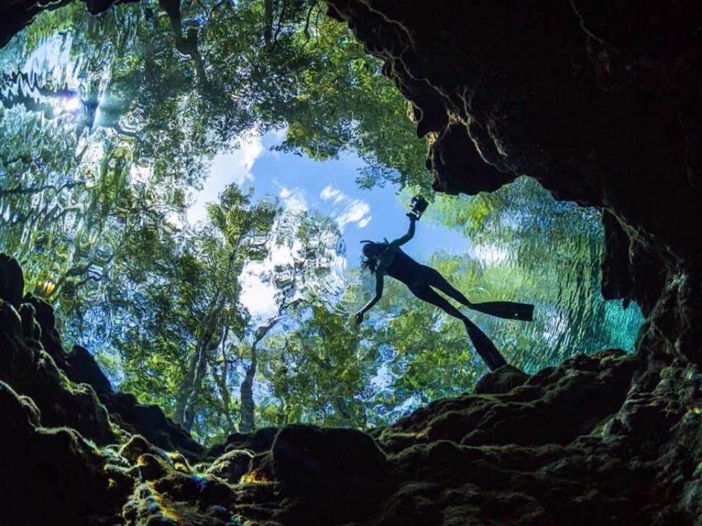 Juniper Springs Wallpapers - Wallpaper Cave