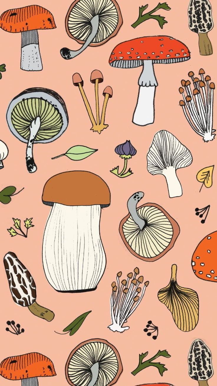 Spring Mushroom Wallpapers - Wallpaper Cave