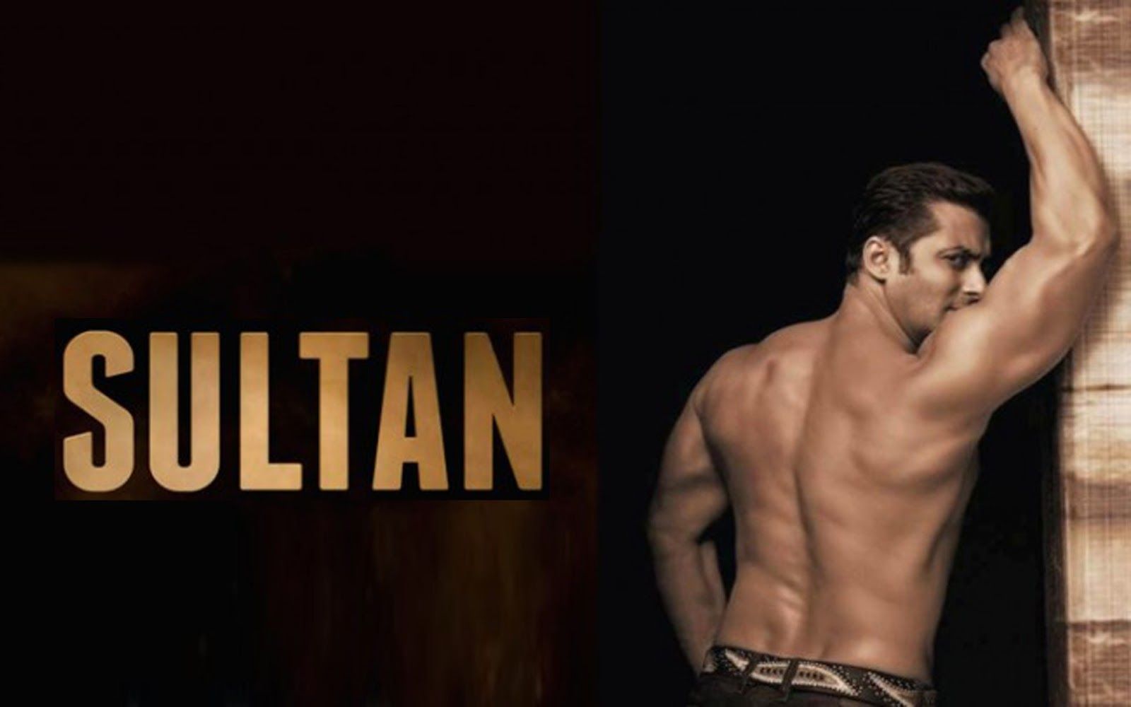 Salman Khan Sultan Wallpapers - Wallpaper Cave