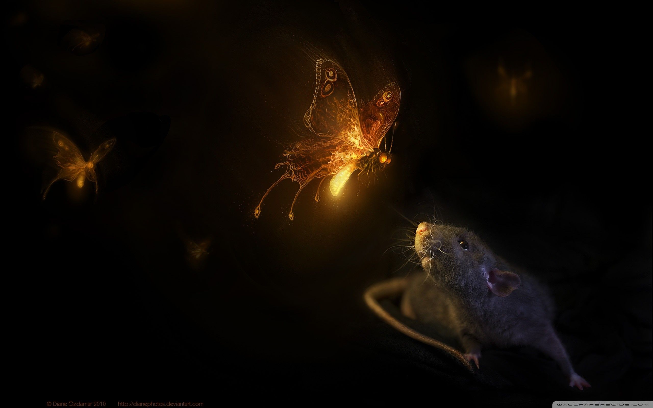 Firefly 4k Wallpapers - Wallpaper Cave