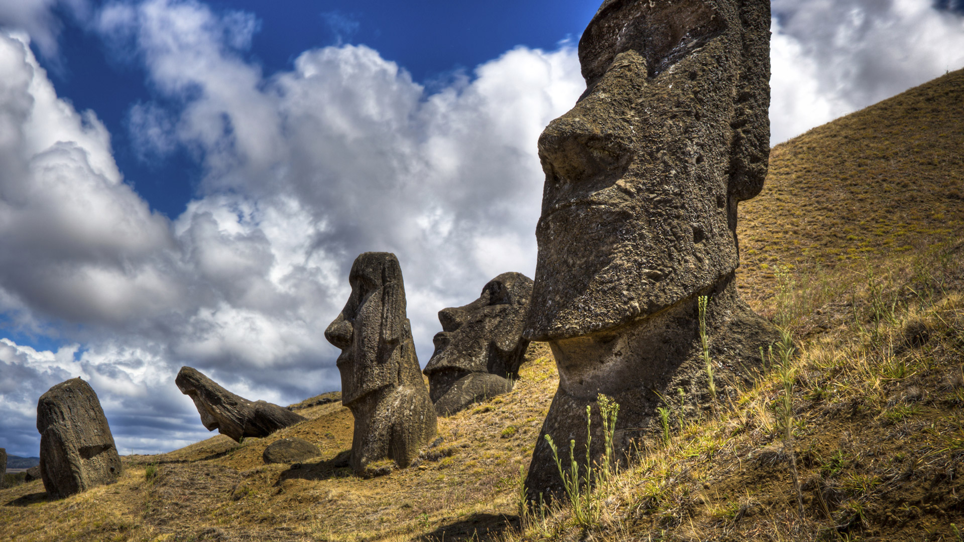 Alien Believe HD Desktop Wallpapers - Wallpaper Cave