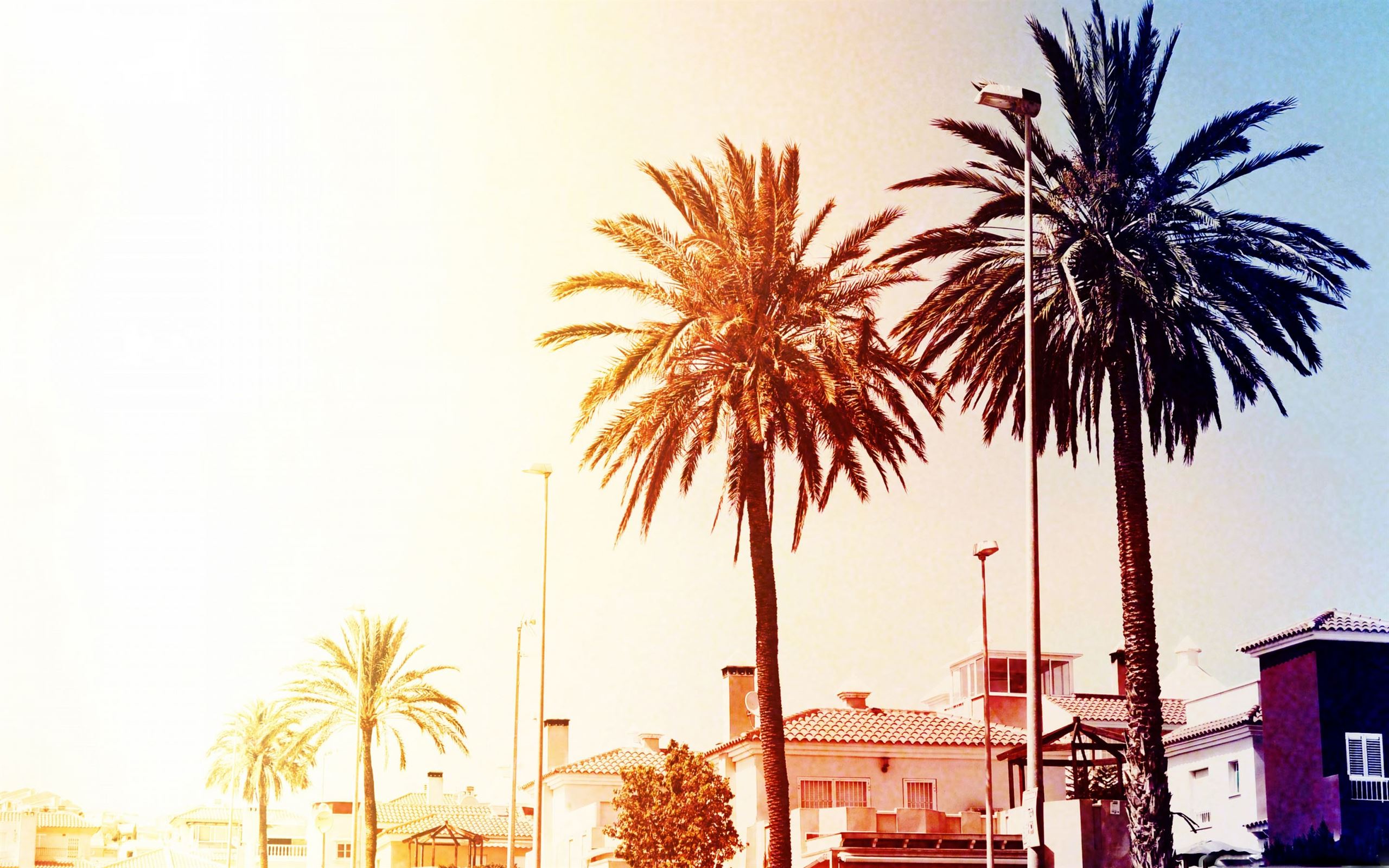 Mac 4k Summer Wallpapers - Wallpaper Cave