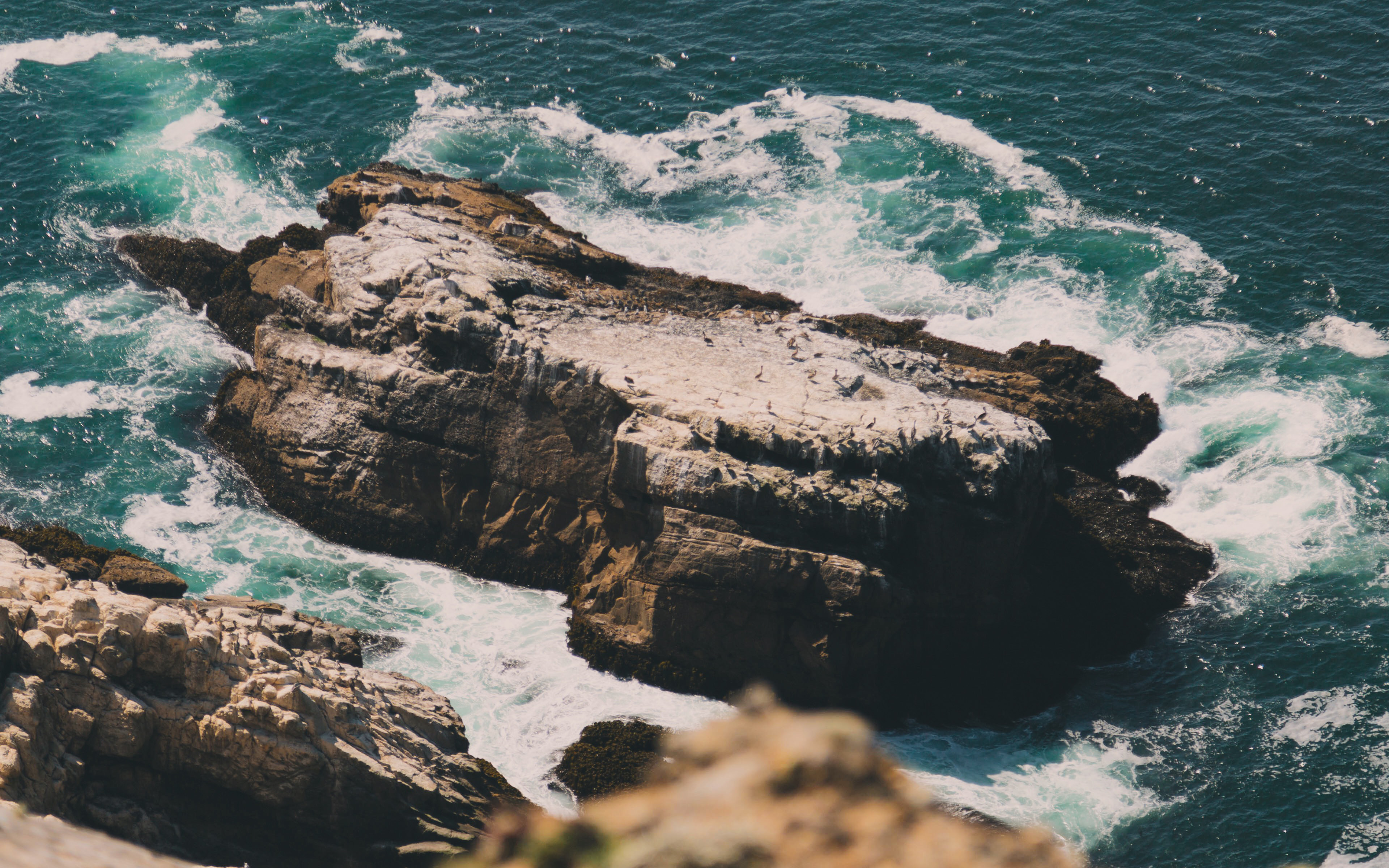 Mac 4k Summer Wallpapers - Wallpaper Cave