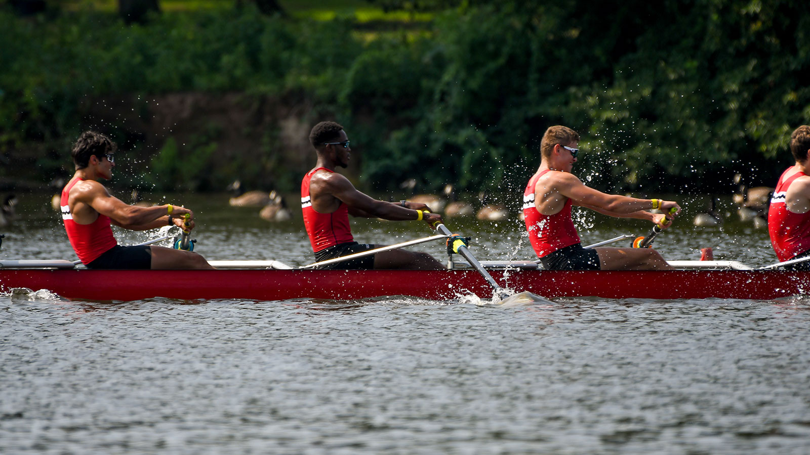 Rowing Summer Wallpapers - Wallpaper Cave