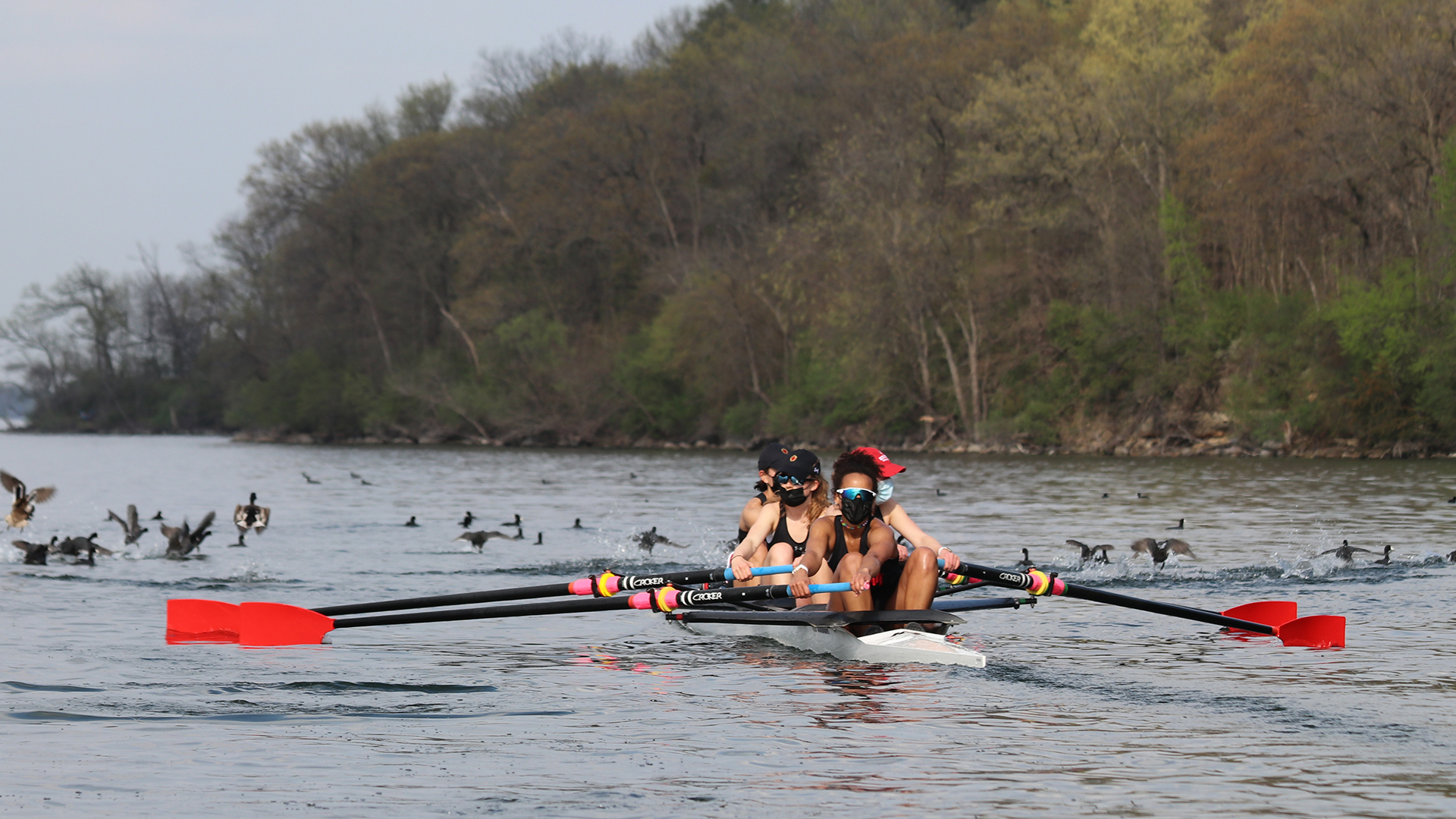 Rowing Summer Wallpapers - Wallpaper Cave