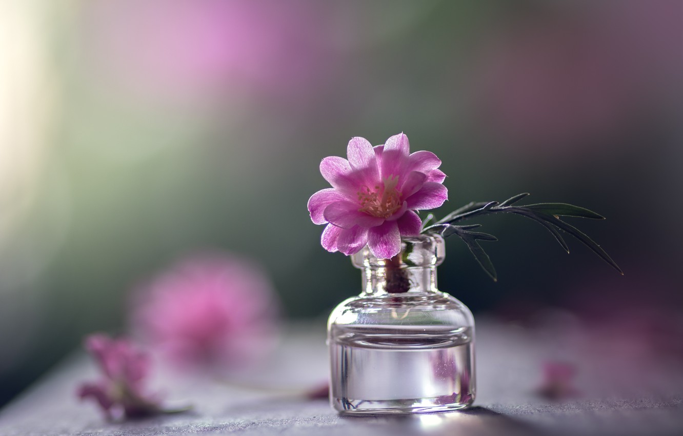 Spring Bubbles Wallpapers - Wallpaper Cave