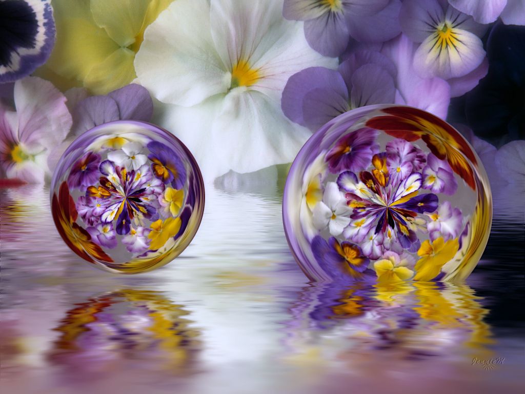 Spring Bubbles Wallpapers - Wallpaper Cave