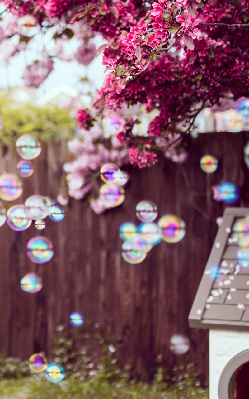 Spring Bubbles Wallpapers - Wallpaper Cave