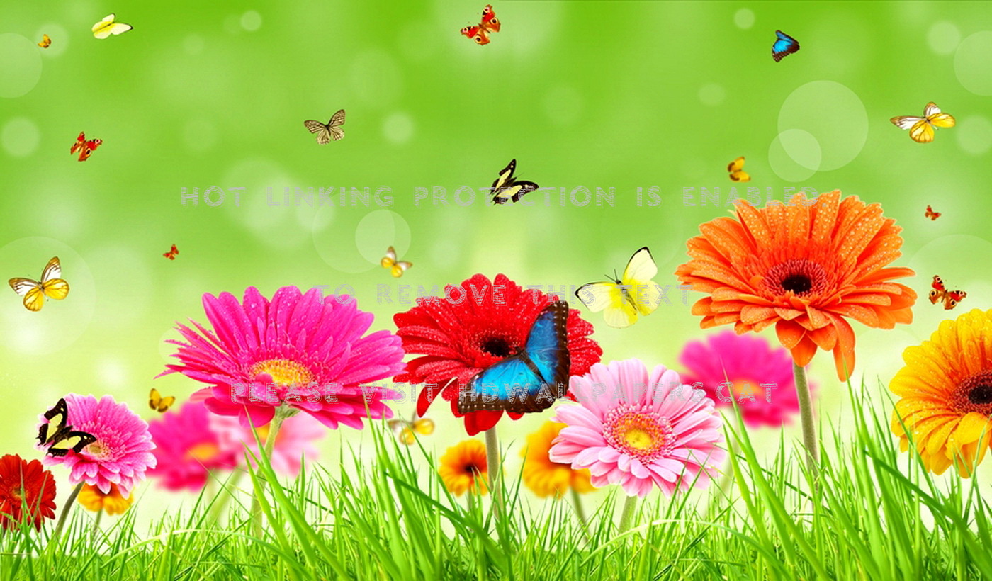 Spring Bubbles Wallpapers - Wallpaper Cave