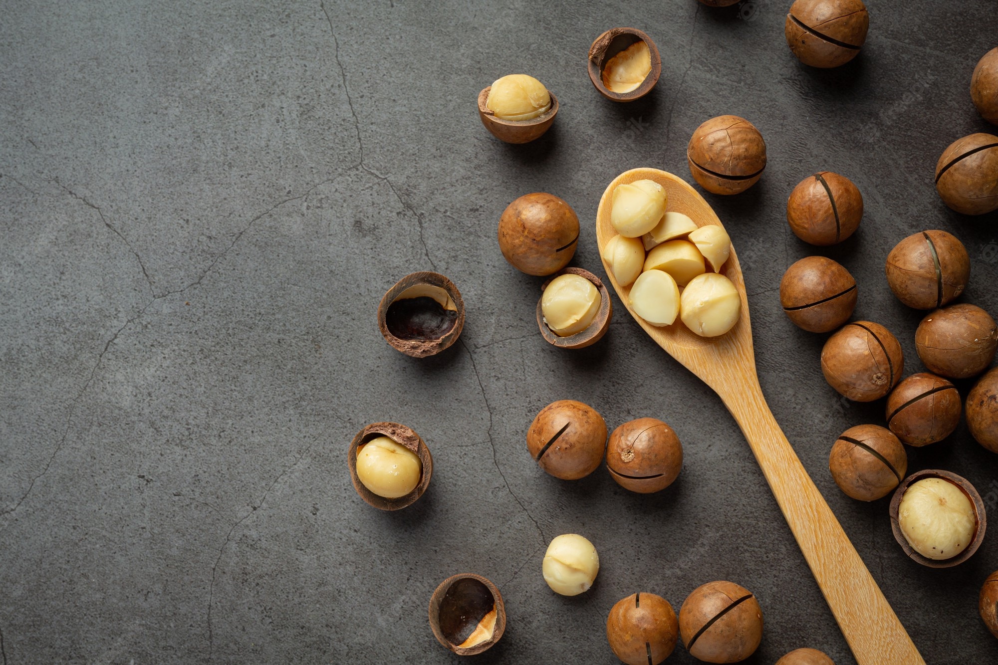 Macadamia Wallpapers - Wallpaper Cave