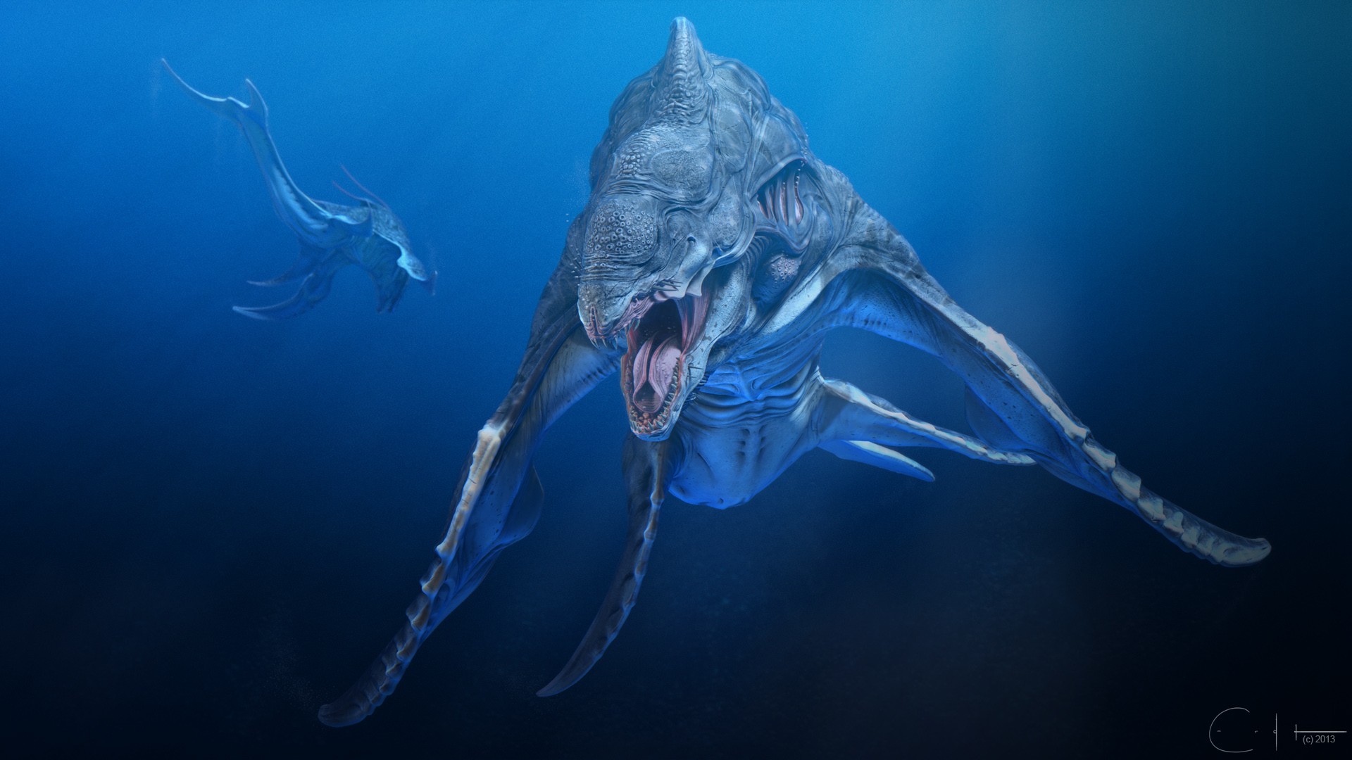 Sea Predators Wallpapers - Wallpaper Cave