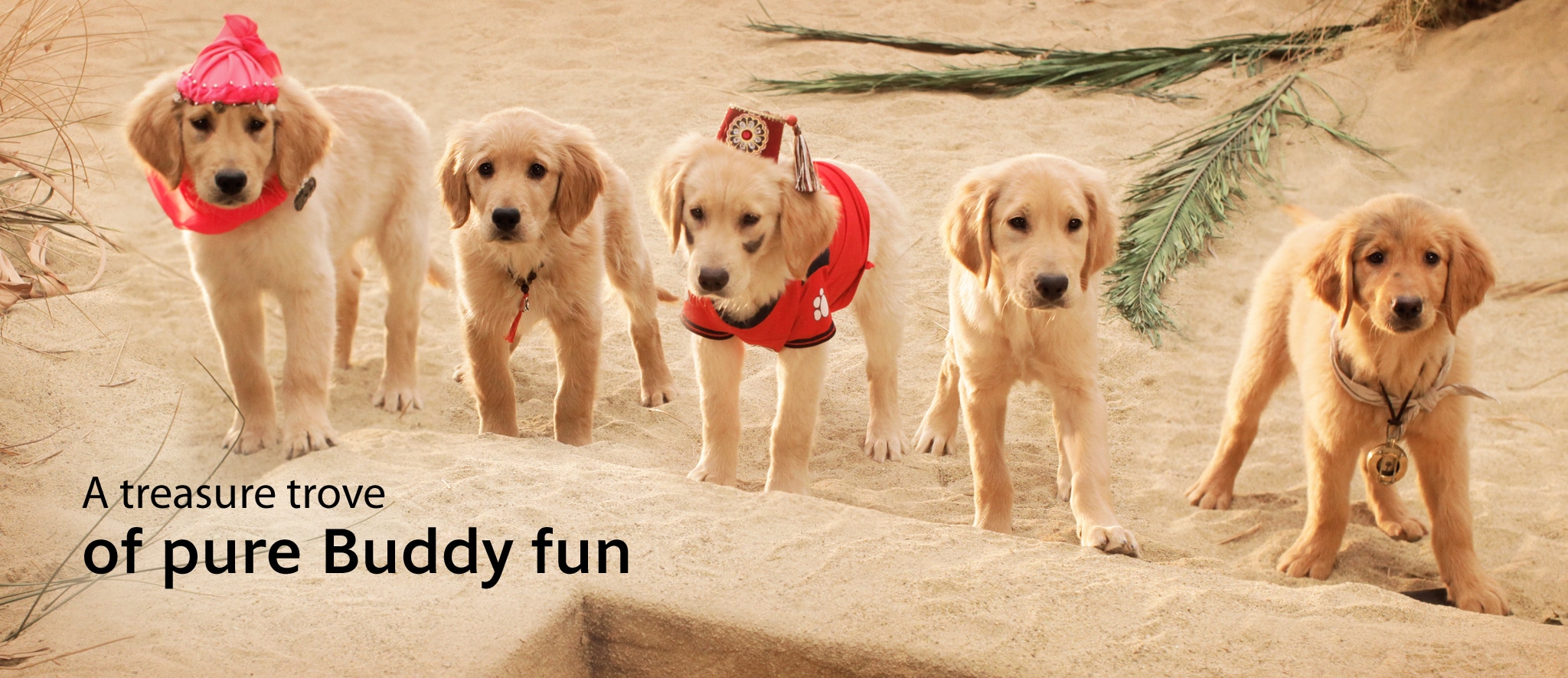 Treasure Buddies Wallpapers - Wallpaper Cave