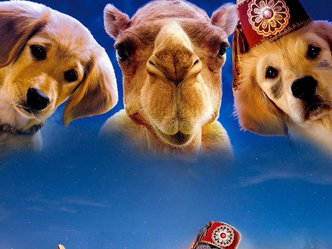 Treasure Buddies Wallpapers - Wallpaper Cave