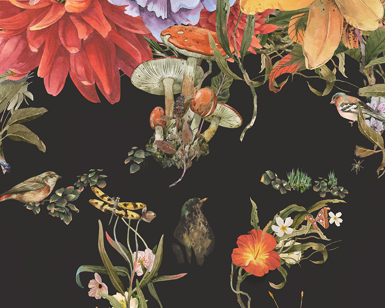 Plant Drawing Wallpapers - Wallpaper Cave