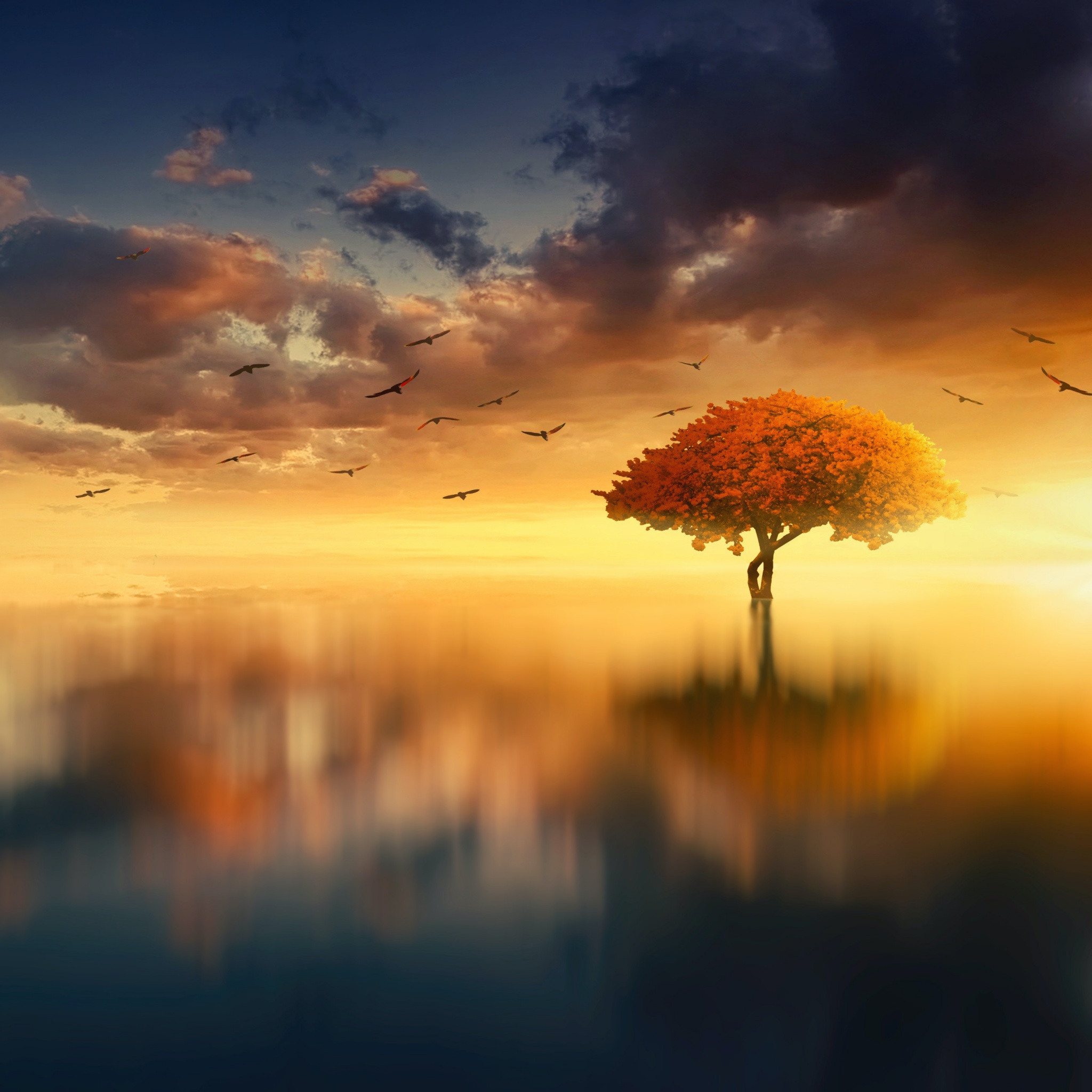 Spring Sunrise Aesthetic Wallpapers - Wallpaper Cave