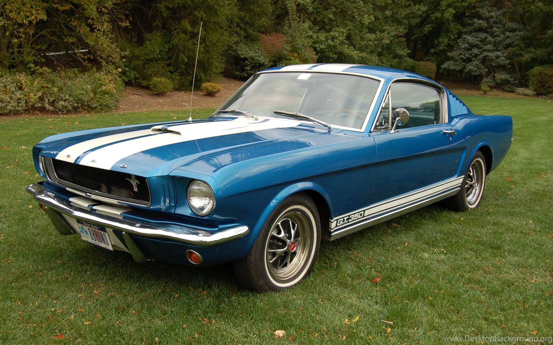 Mustang 65 Wallpapers - Wallpaper Cave