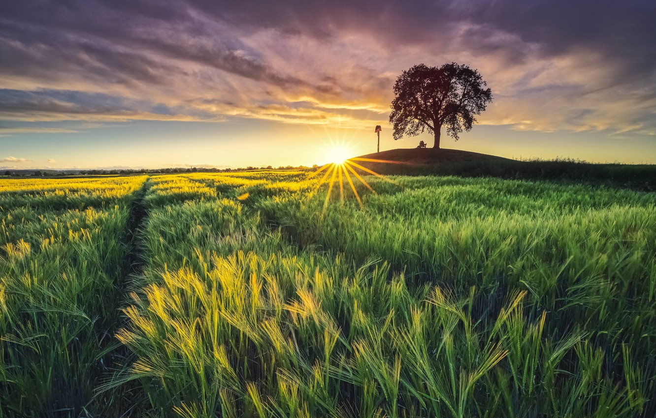 Sunset Over Field Wallpapers - Wallpaper Cave