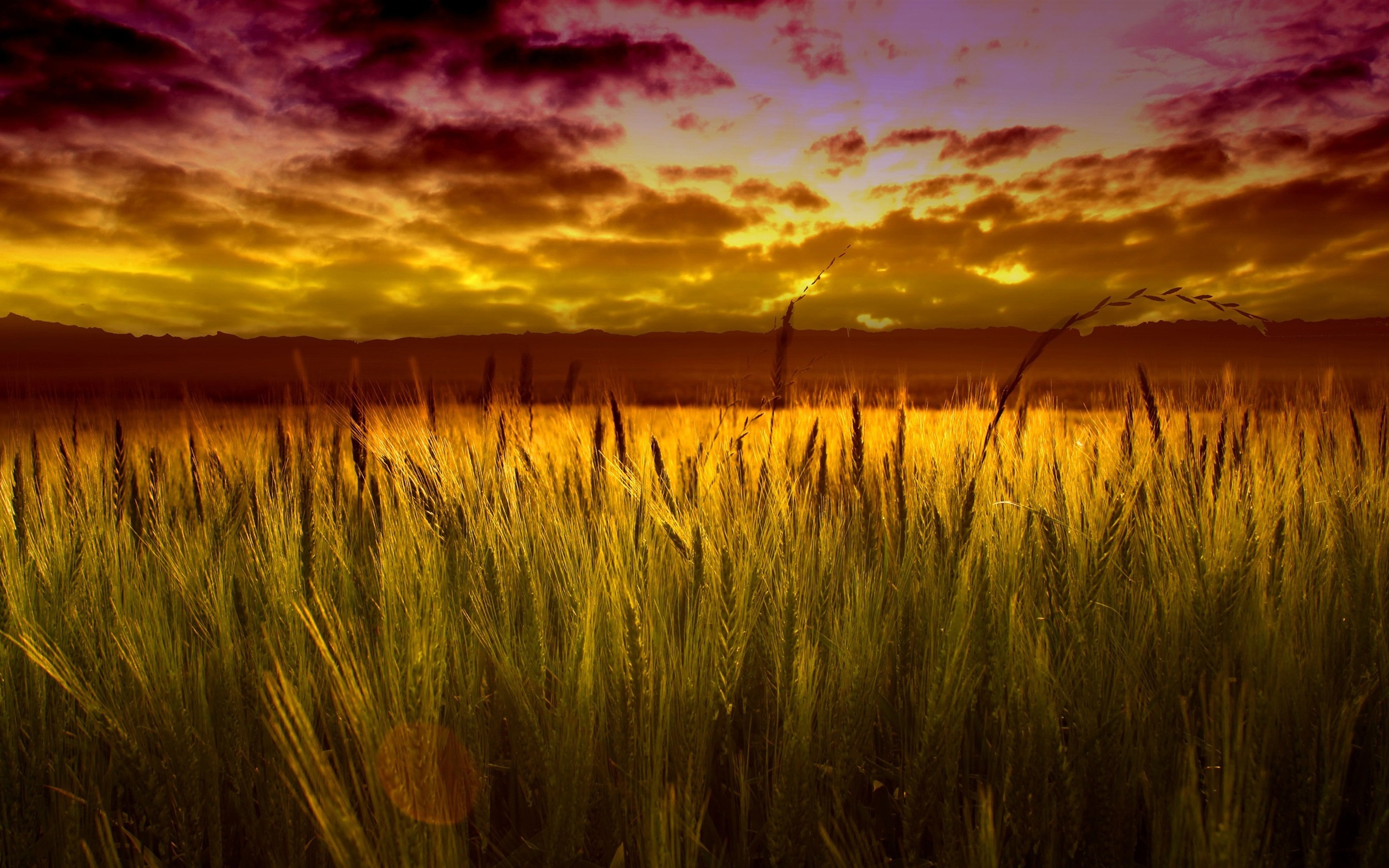 Sunset Over Field Wallpapers - Wallpaper Cave