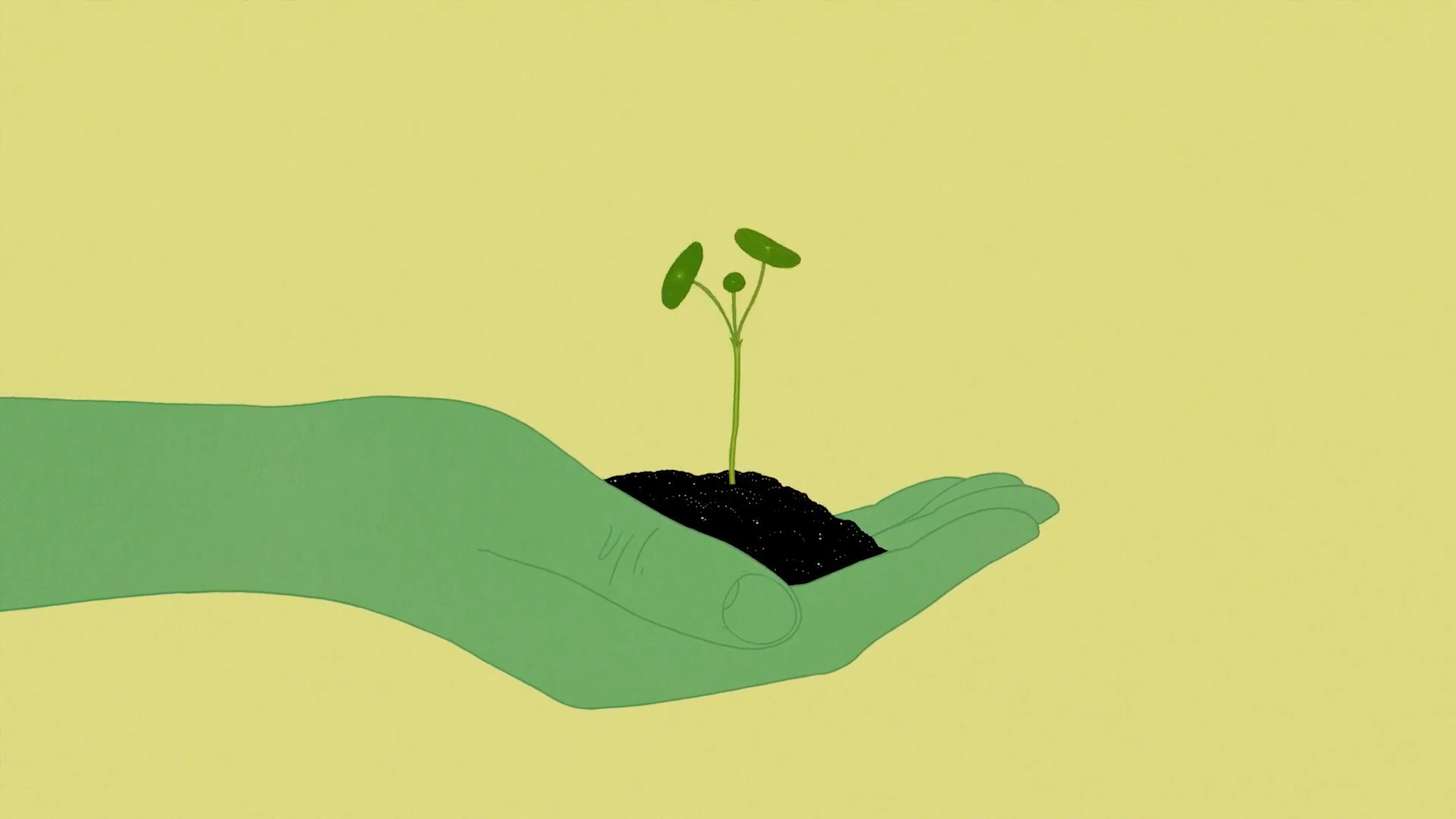 Sapling Wallpapers - Wallpaper Cave