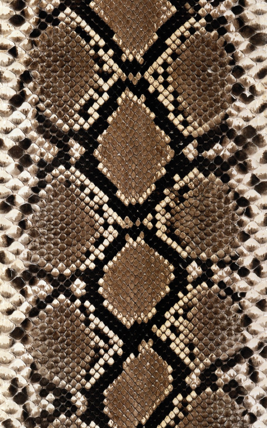 Snake Texture Wallpapers - Wallpaper Cave